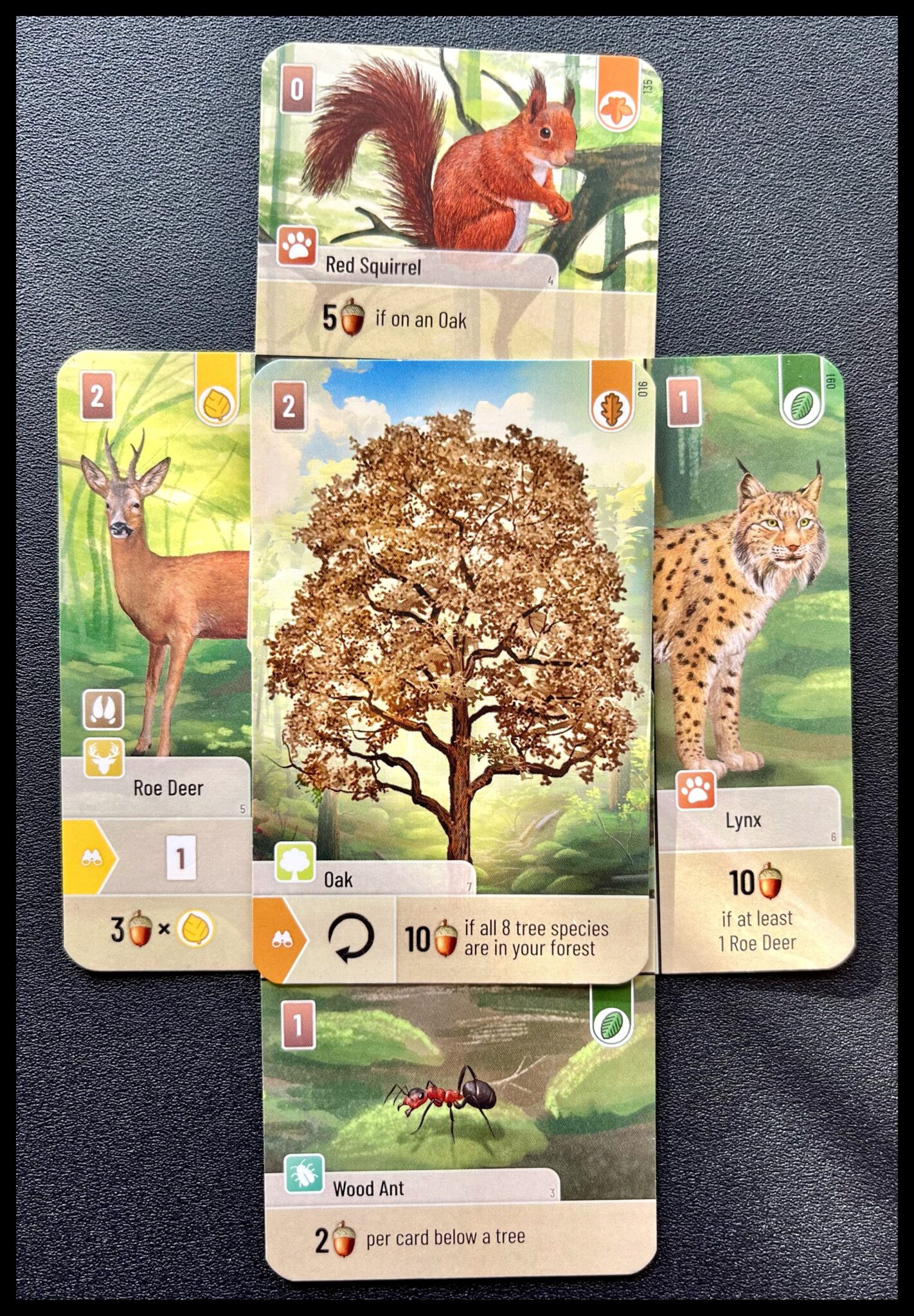 Forest Shuffle – Spellengek